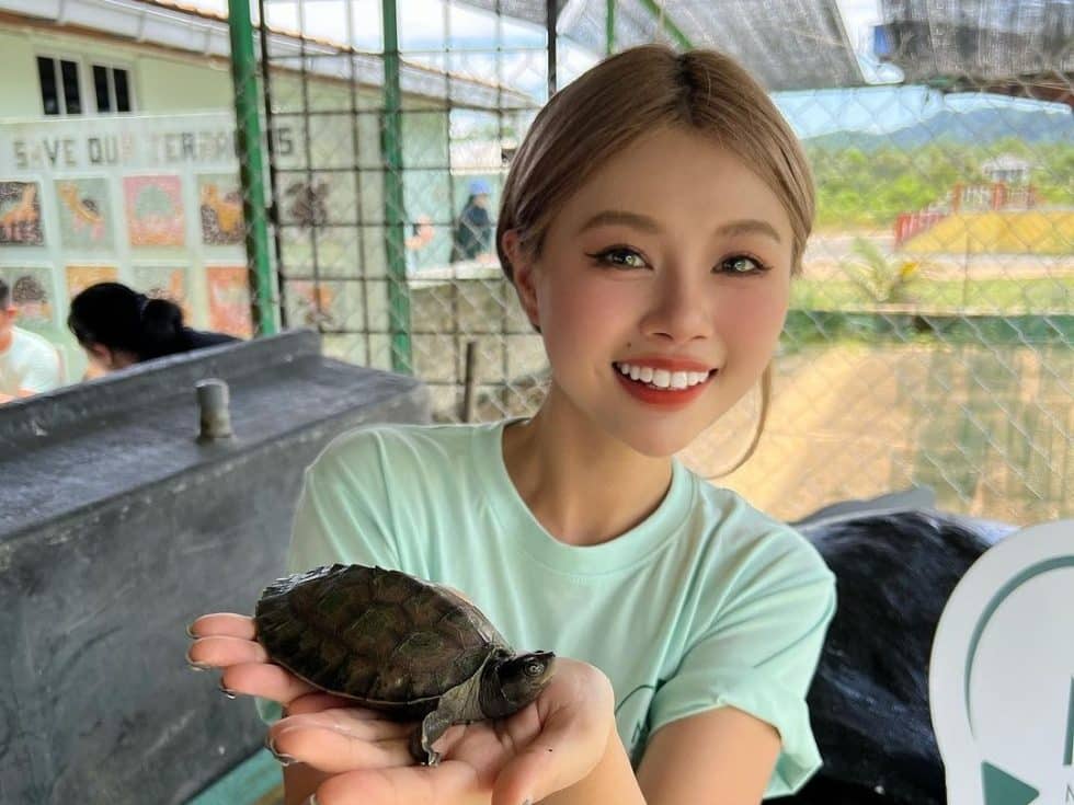 Painted Terrapin Conservation Project • Turtle Conservation Society of ...