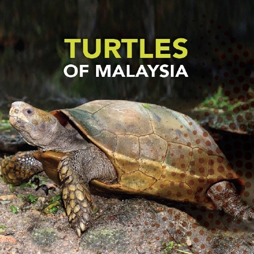 Media & Resources • Turtle Conservation Society of Malaysia