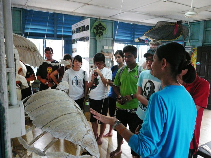 ISKL students help build basking traps • Turtle Conservation Society of ...