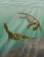 How long have turtles been on earth? How did they look like in ...