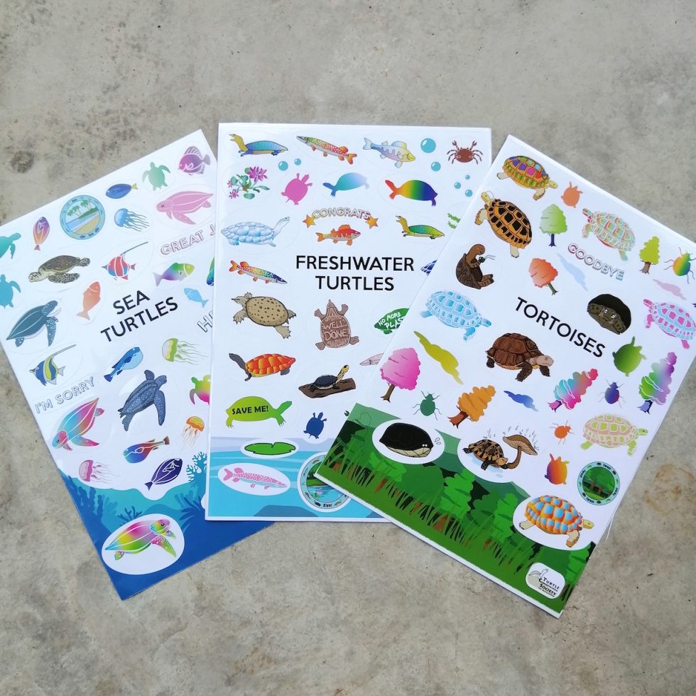 Turtle Stickers (3 pcs/set) • Turtle Conservation Society of Malaysia